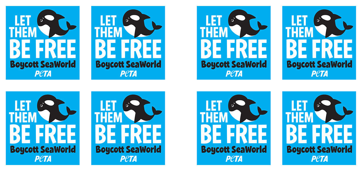 Child Activism Pack | PETA Literature