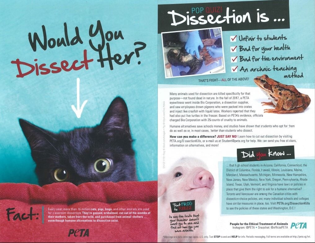 Dissection Leaflet | PETA Literature