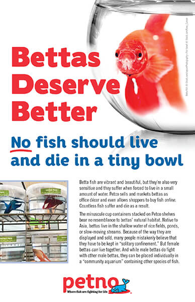 PETCO Betta Fish Leaflet | PETA Literature