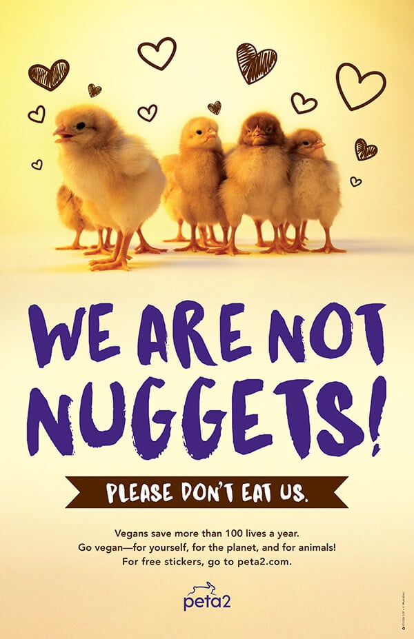 We Are Not Nuggets Poster | PETA Literature