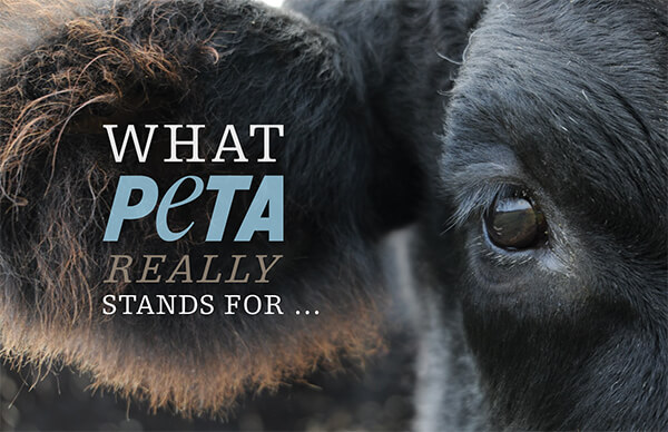 What PETA Really Stands For Booklet | PETA Literature