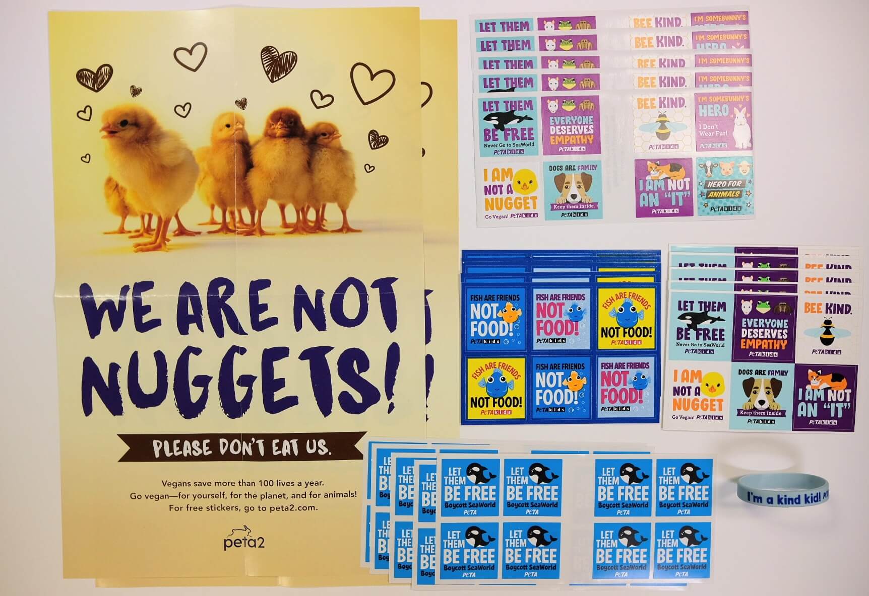 Child Activism Pack | PETA Literature