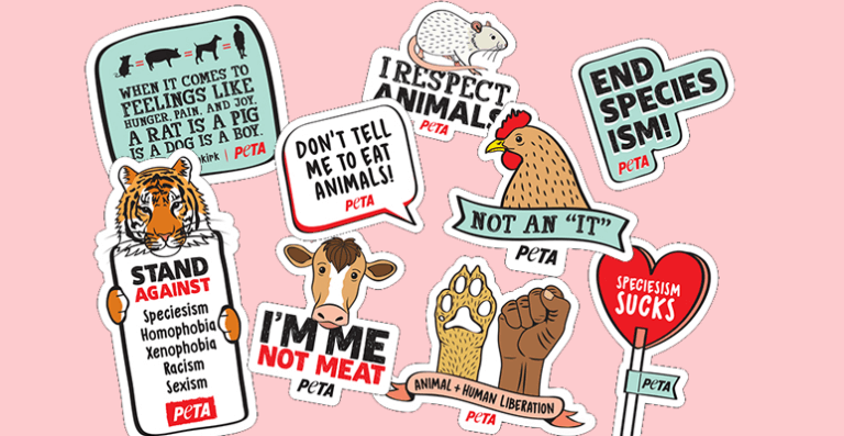 PETA Literature
