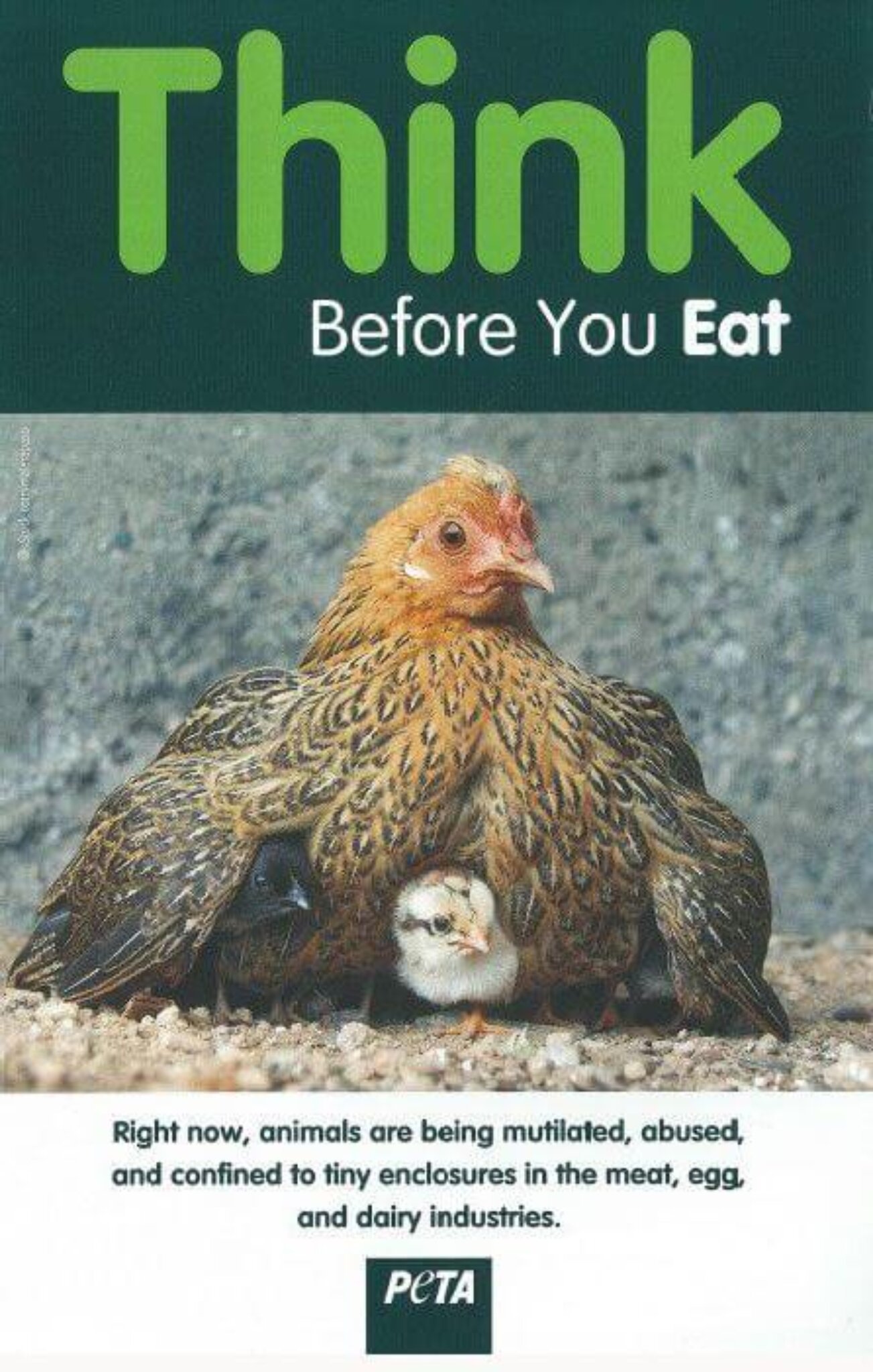 Think Before You Eat Leaflet | PETA Literature
