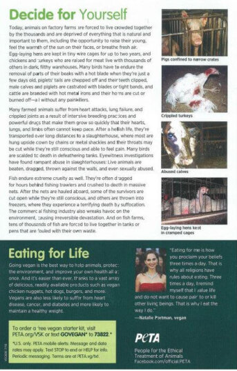 Think Before You Eat Leaflet | PETA Literature