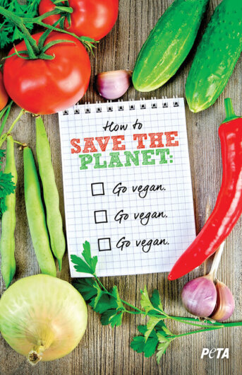 Save the Planet Leaflet | PETA Literature