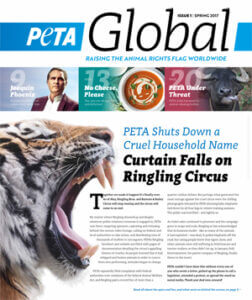 PETA Global Magazine | PETA Literature