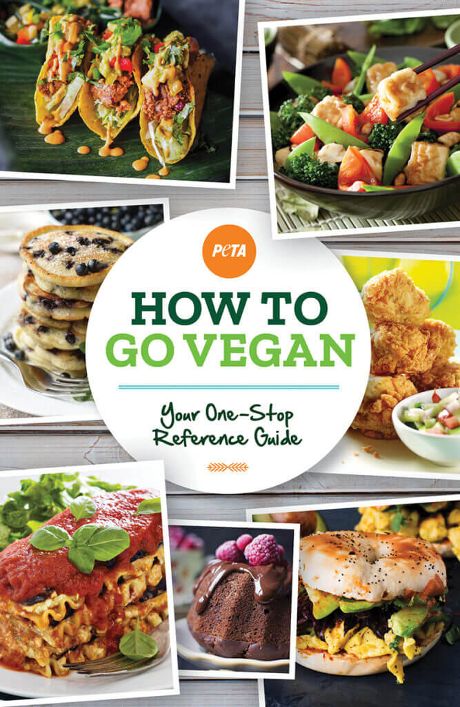 How To Go Vegan Guide | PETA Literature