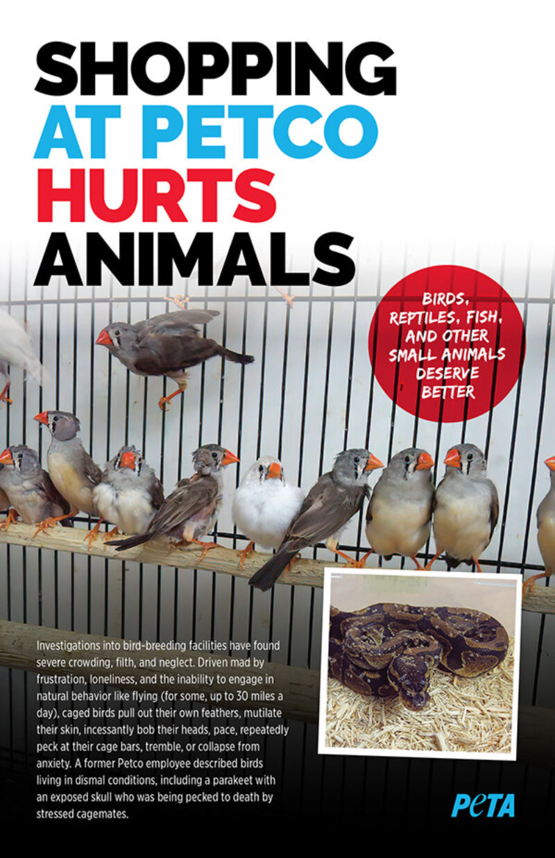 Petco Leaflet PETA Literature Petco Leaflet PETA Literature