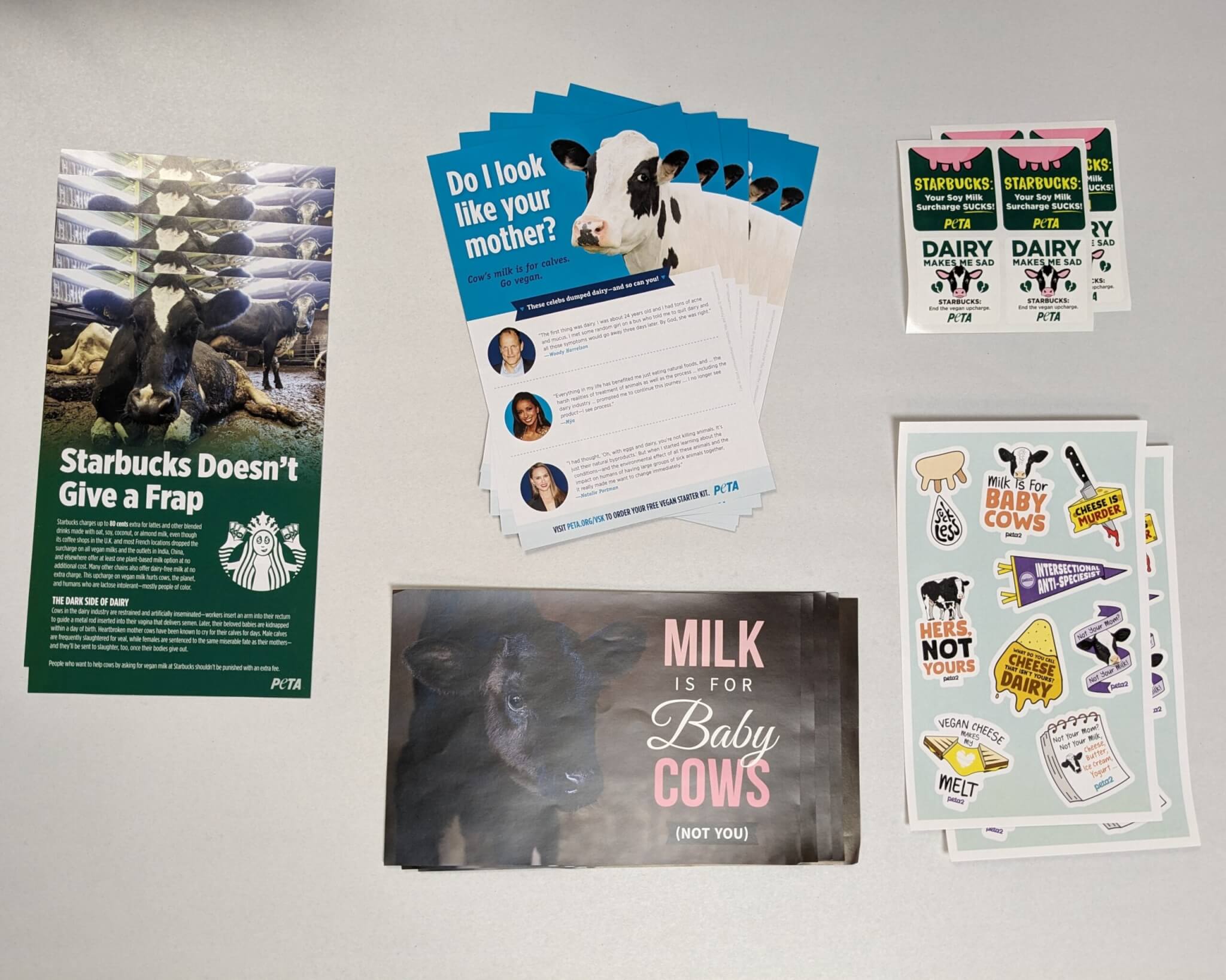 Leaflets/Brochures | Page 4 of 5 | PETA Literature