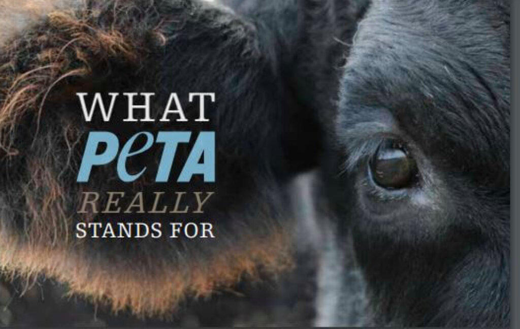 What PETA Really Stands For Booklet | PETA Literature