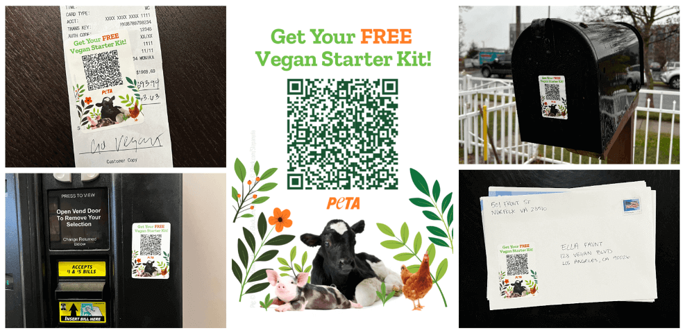 VSK QR Code Sticker Sheet | PETA Literature