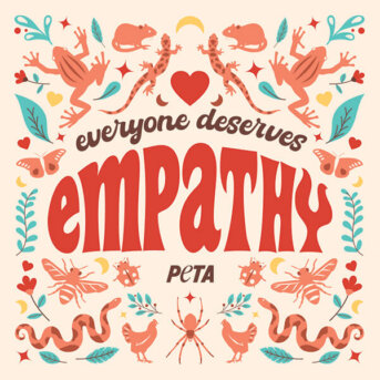 PETA Everyone Deserves Empathy Sticker | PETA Literature