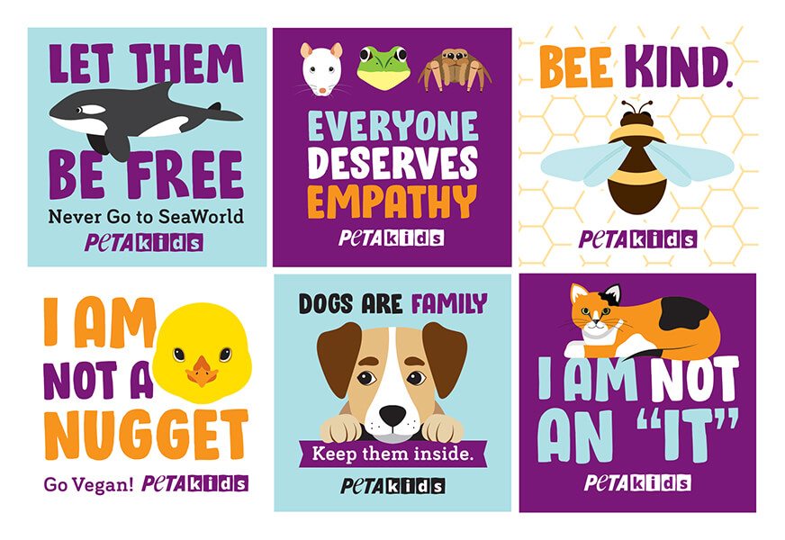 PETA Kids Sticker Postcard | PETA Literature