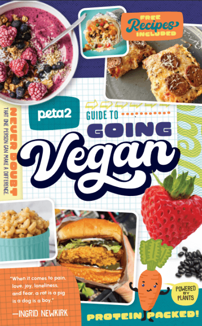 peta2 Guide to Going Vegan | PETA Literature